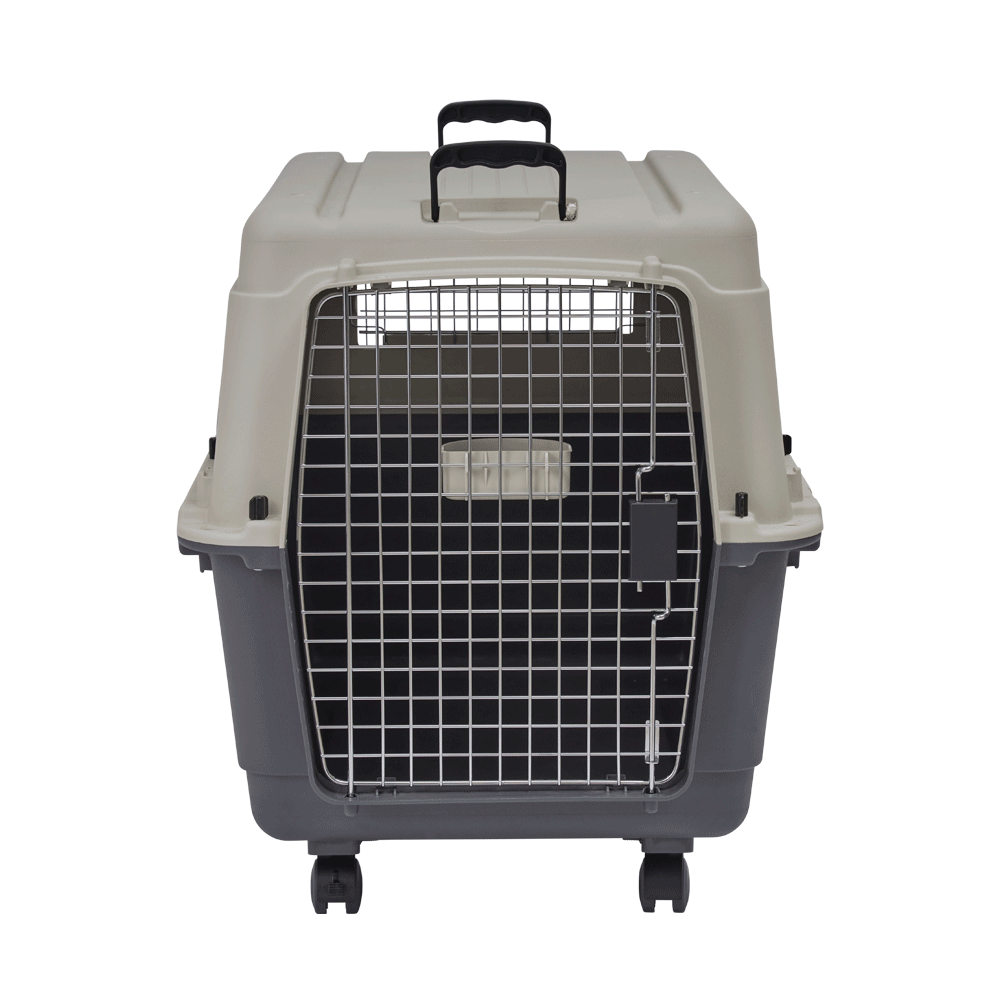 Caixas de Transporte – Zoommpet